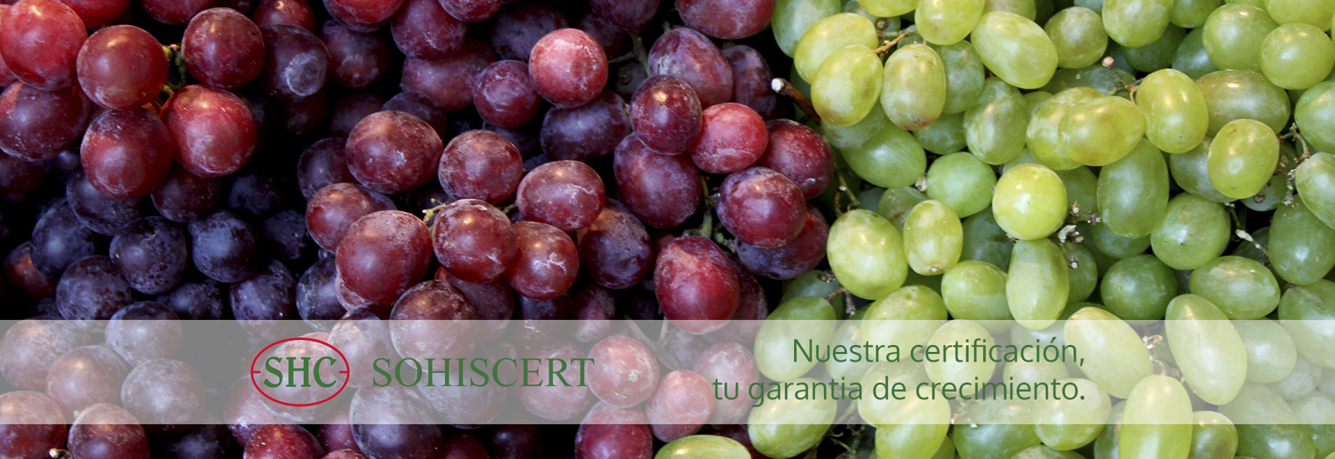 front_04 - SOHISCERT