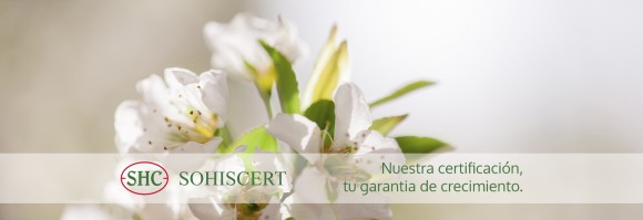 front_05 - SOHISCERT