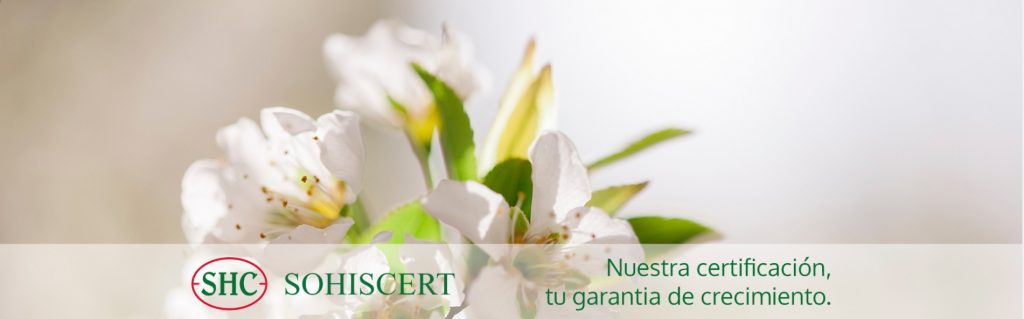 frontpage-1 - SOHISCERT