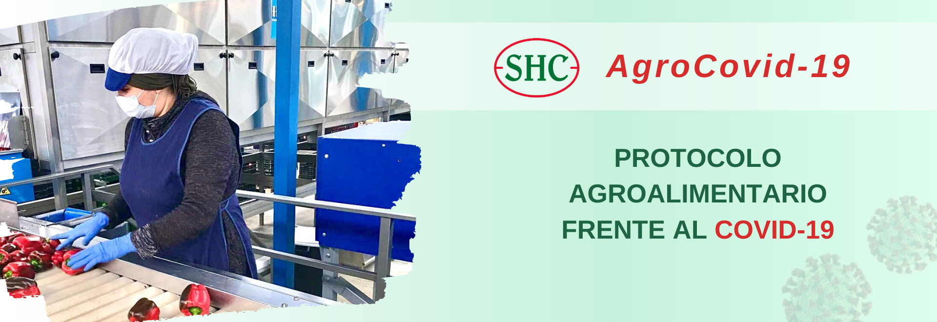 SOHISCERT - Nuestra Certificación. Tu Garantía de Crecimiento