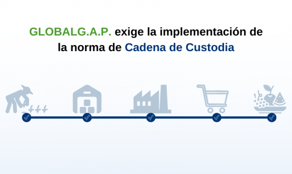 Implementación de la norma de Cadena de Custodia